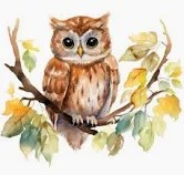 Summer Reading Program – Welcome to the Winterport Memorial Library