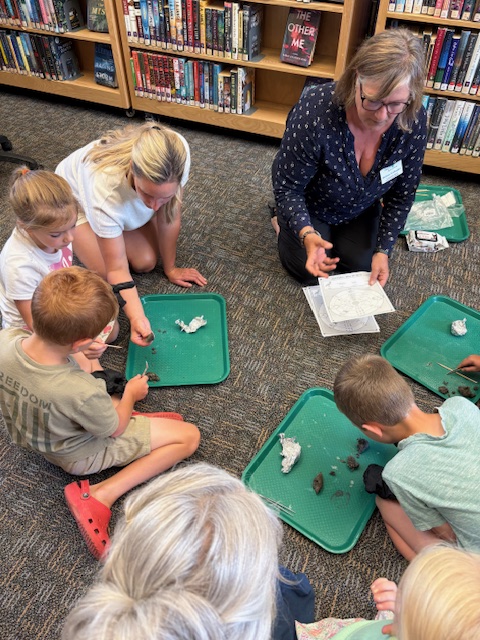 Summer Reading Program – Welcome to the Winterport Memorial Library